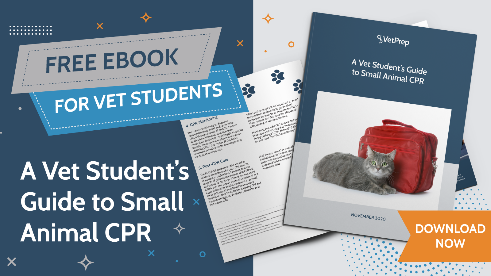 A Vet Student’s Guide to Small Animal CPR