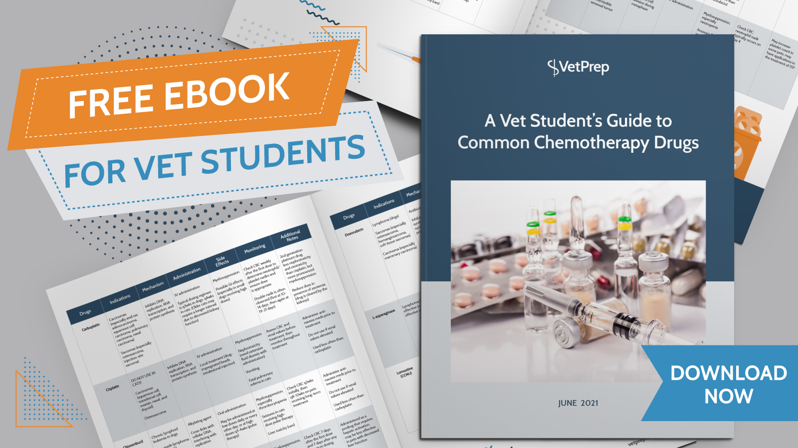 A Vet Student’s Guide to Common Chemotherapy Drugs